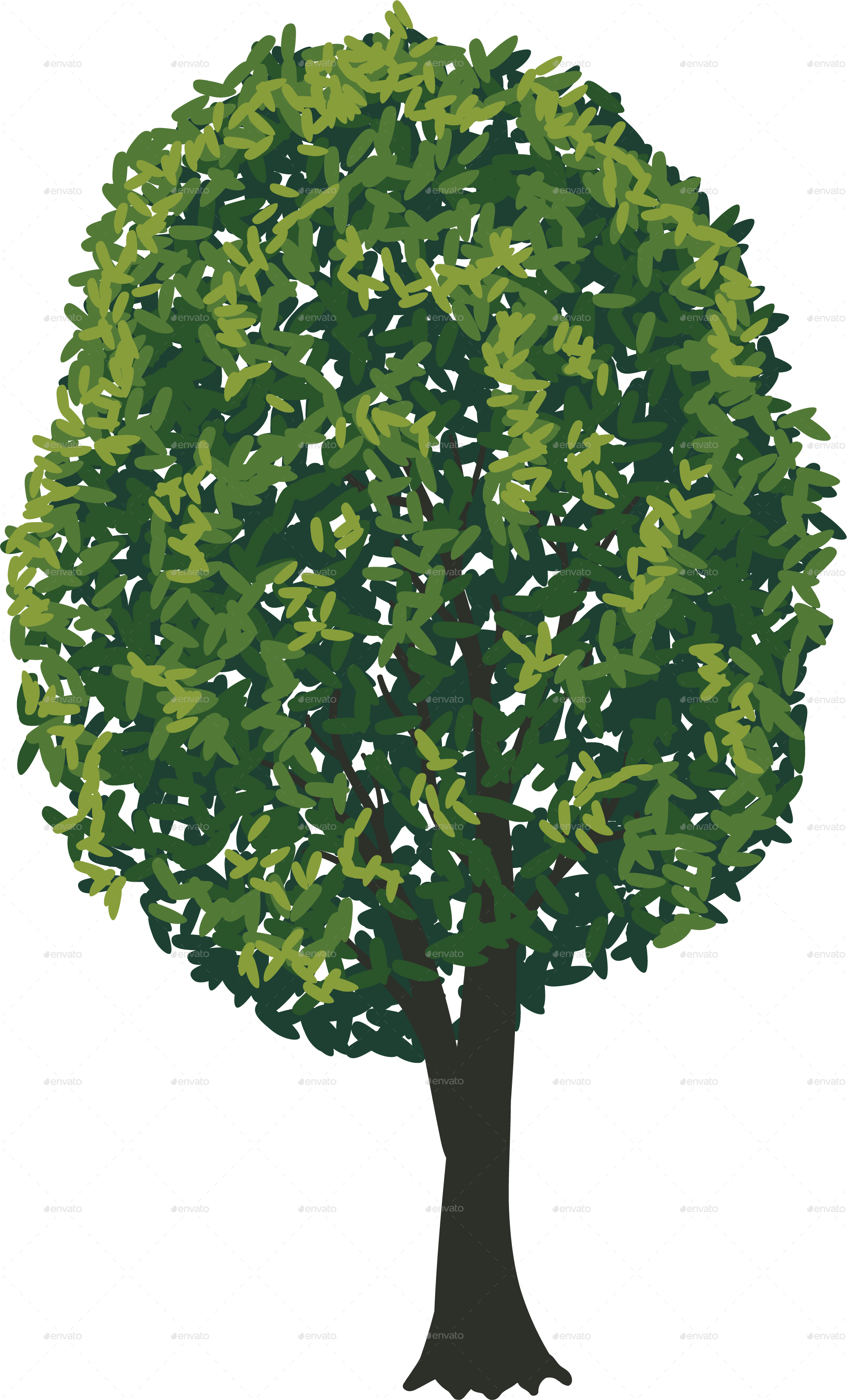 Tree Collection, Vectors | GraphicRiver