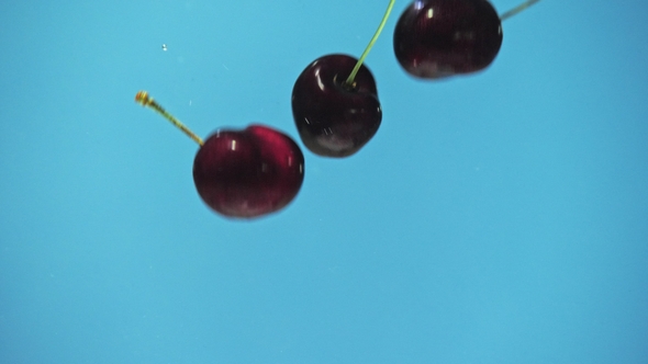 Many Cherry Are Falling Into Water Against Blue Background, Stock Footage