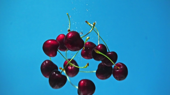 Many Cherry Are Falling Into Water Against Blue Background, Stock Footage