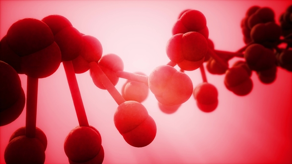 DNA Model Rotate, Motion Graphics | VideoHive