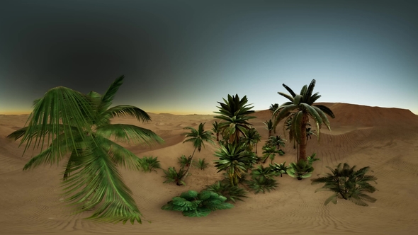 VR 360 Camera Moving Above Desert, Motion Graphics | VideoHive