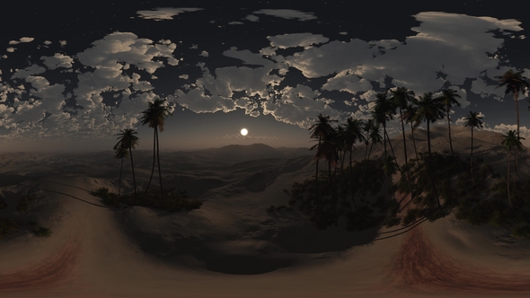 VR 360 Degree Aerial Panorama of Palms in Desert, Motion Graphics ...