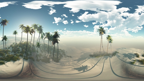VR 360 Degree Aerial Panorama of Palms in Desert, Motion Graphics ...
