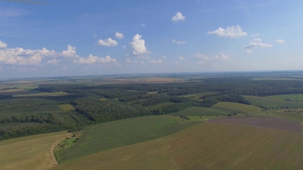 Aerial View of Green Summer Forest with a Field, Stock Footage | VideoHive