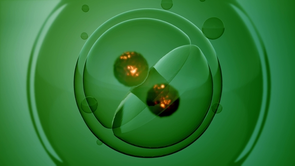 Rotate Cell Division, Motion Graphics | VideoHive
