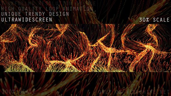 Orange Coral, Motion Graphics | VideoHive