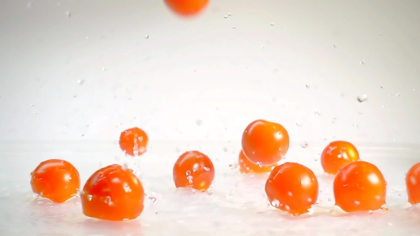 Tomatoes Dropping From Above in Studio Isolated on White., Stock Footage