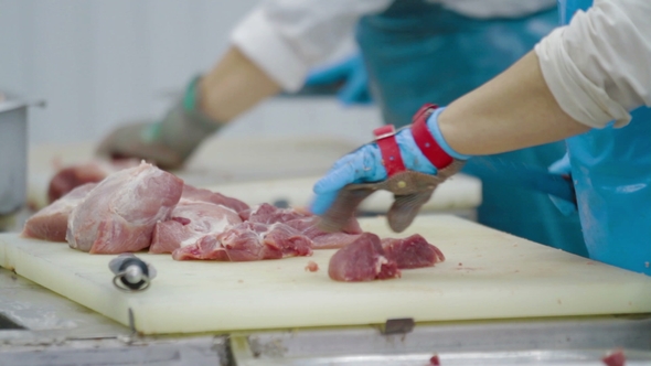 The Meat Factory Is Preparing Fresh Meat for Delivery To Stores, Stock ...