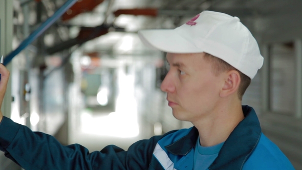 Pig Farm Worker Intensive Pig Farming, Stock Footage | VideoHive