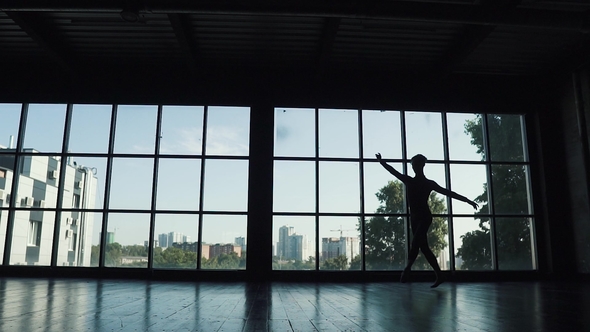 Silhouette of a Ballet Dancer Male Against the Background of a Large ...