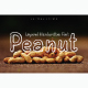 Peanut, Fonts | GraphicRiver