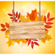 Autumn Background with Leaves and Wooden Board, Vectors | GraphicRiver