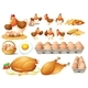Chicken And Different Types Of Chicken Products, Vectors | GraphicRiver