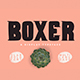 Boxer Typeface, Fonts | GraphicRiver