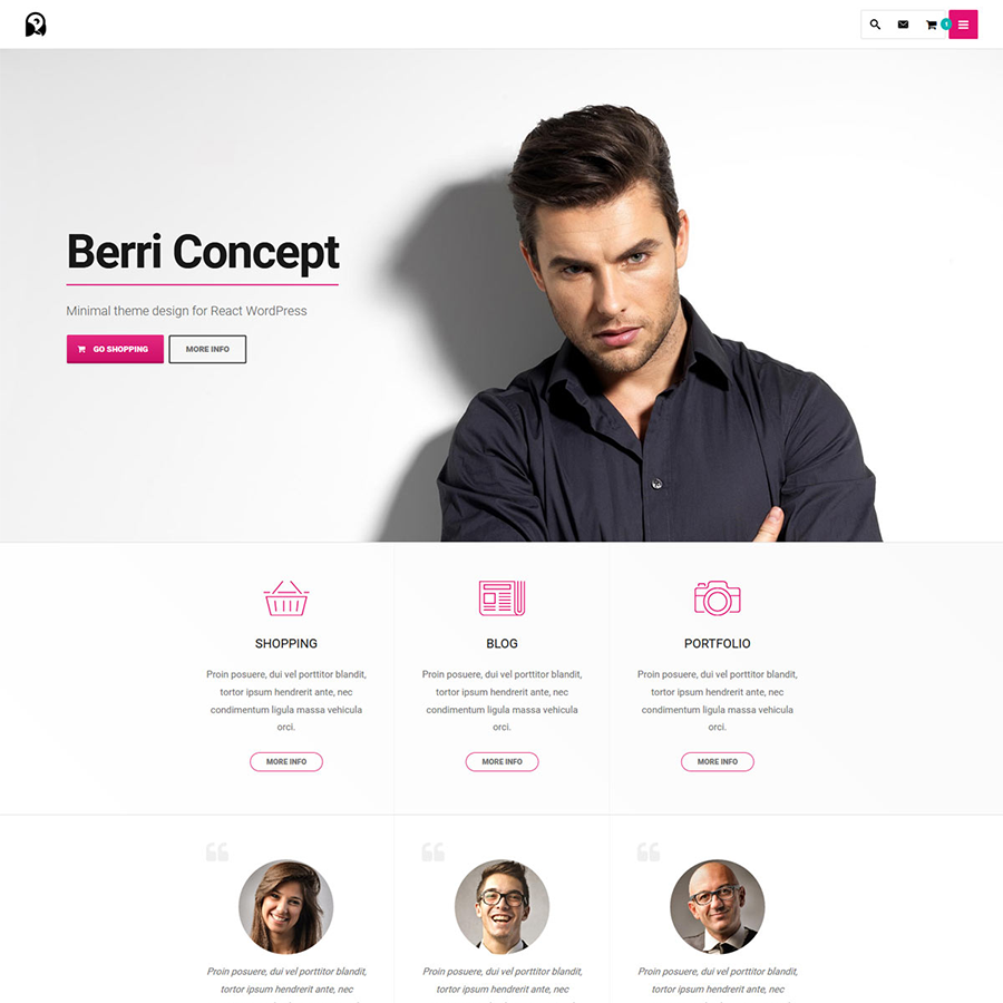 React - Responsive Multi-Purpose WordPress Framework by ThemeCatcher
