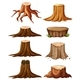 Different Types of Stumps, Vectors | GraphicRiver