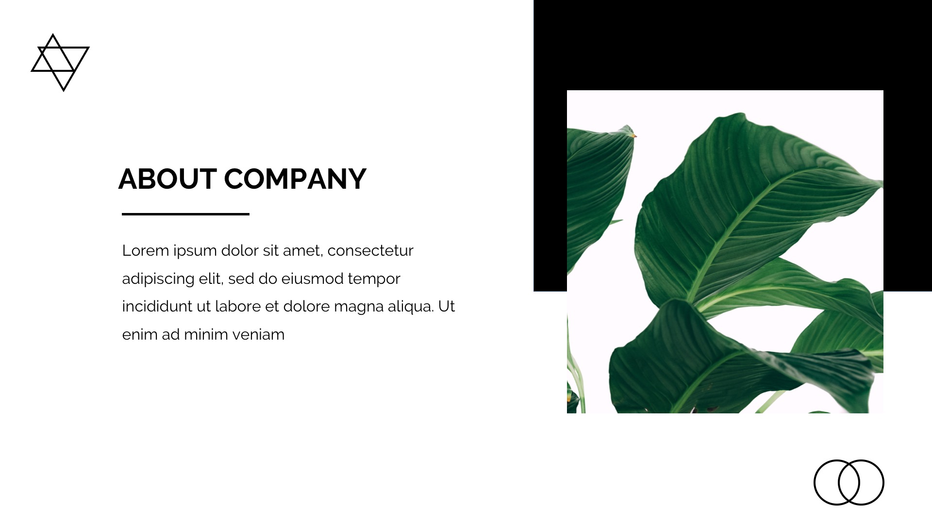 Calm - Minimal Powerpoint Template, Presentation Templates | GraphicRiver