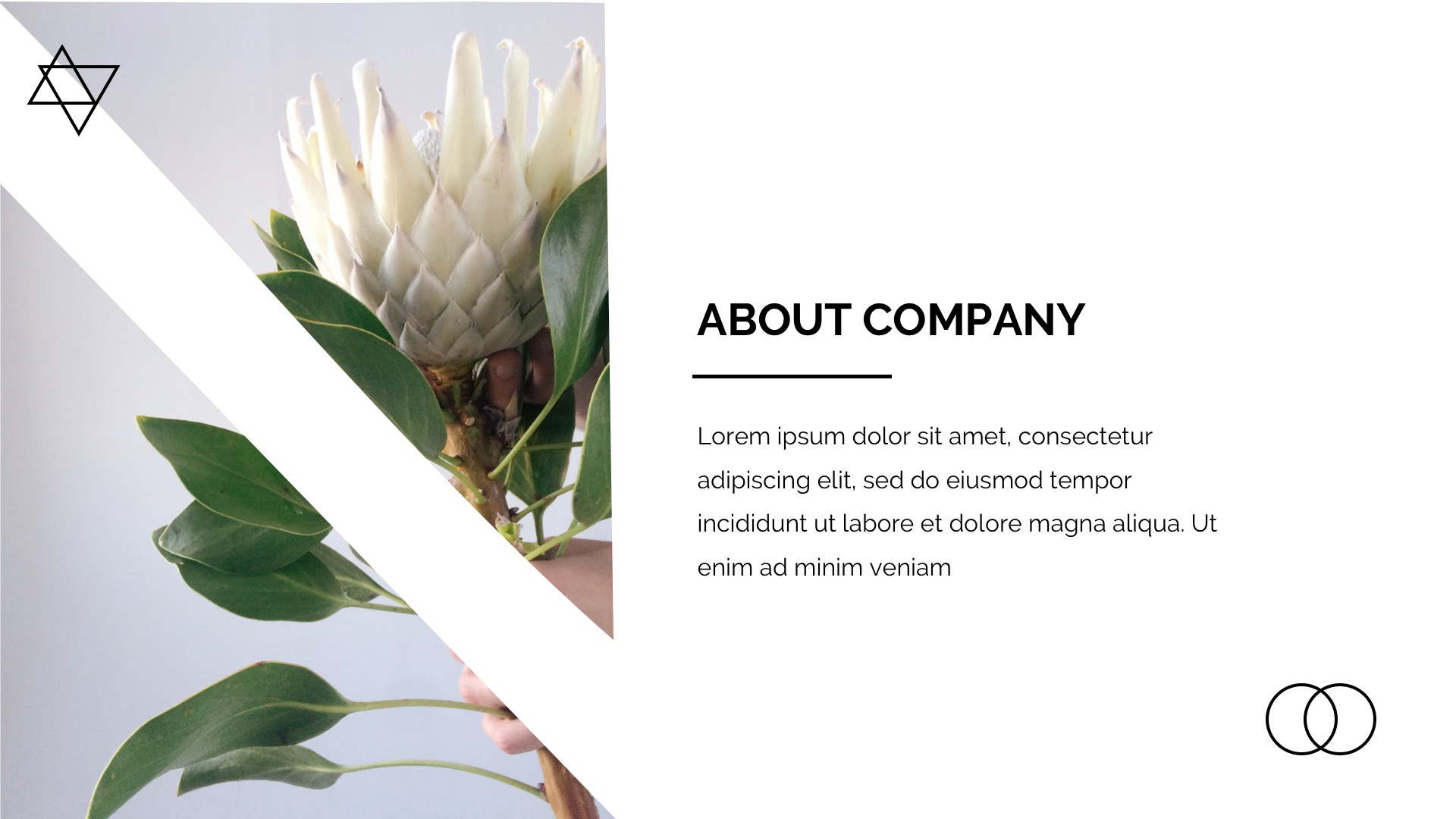 Calm - Minimal Powerpoint Template, Presentation Templates | GraphicRiver