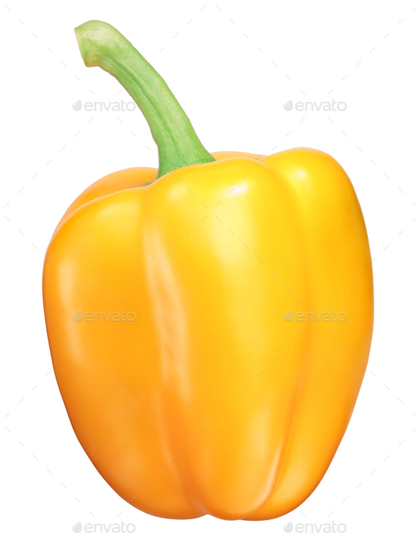 Golden California wonder bell pepper Stock Photo by maxsol7 | PhotoDune