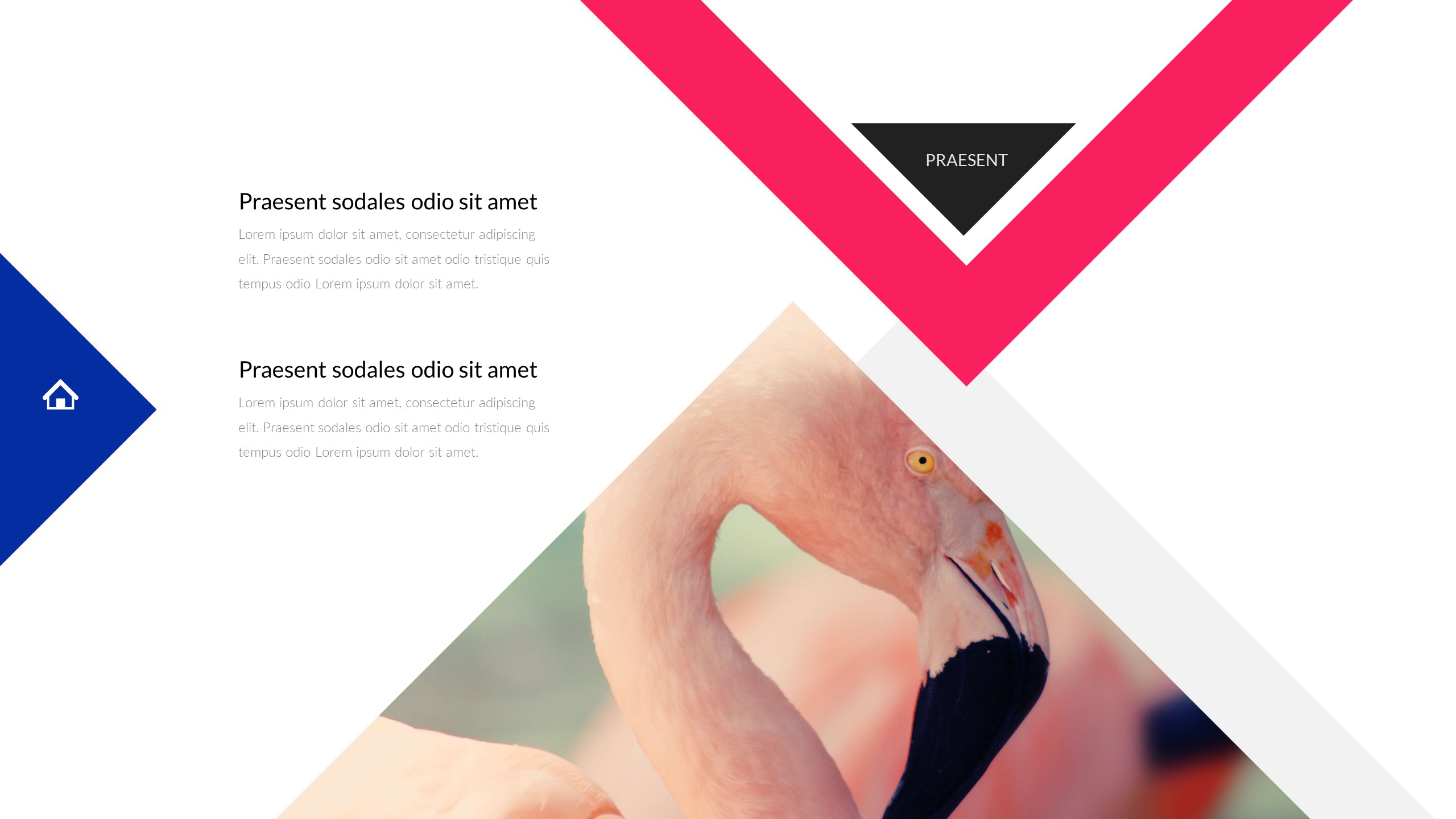 FDEA - Creative Keynote Presentation Template, Presentation Templates