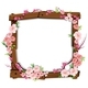 Asian Pink Japanese Sakura on Wooden Frame, Vectors | GraphicRiver