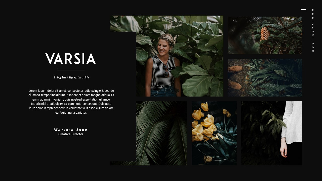 Varsia Powerpoint Template, Presentation Templates | GraphicRiver