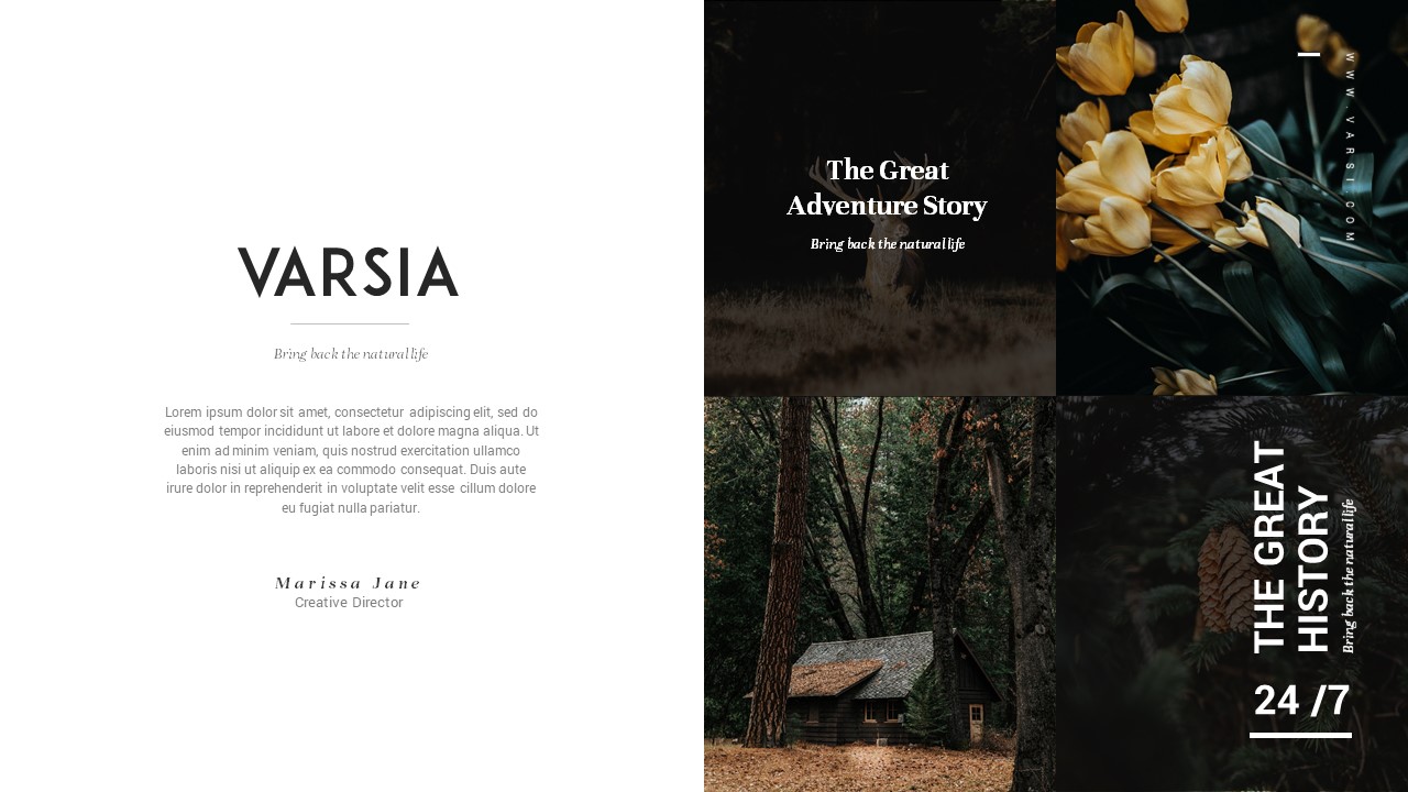 Varsia Keynote Template, Presentation Templates | GraphicRiver