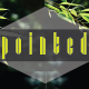 pointed, Fonts | GraphicRiver