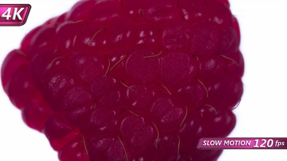 Crushed One Raspberries, Stock Footage | VideoHive