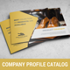 Company Profile Catalog, Print Templates | GraphicRiver