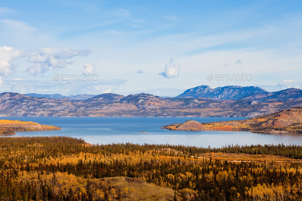 Lake Laberge Yukon boreal forest taiga fall Stock Photo by pilens ...