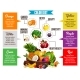 Color Diet, Vegetables and Fruits Information, Vectors | GraphicRiver