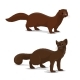 Sable and Mink Cartoon Vector Animal, Vectors | GraphicRiver