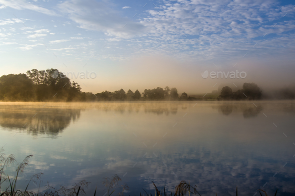 Early summer morning at the pond Stock Photo by mibuch | PhotoDune