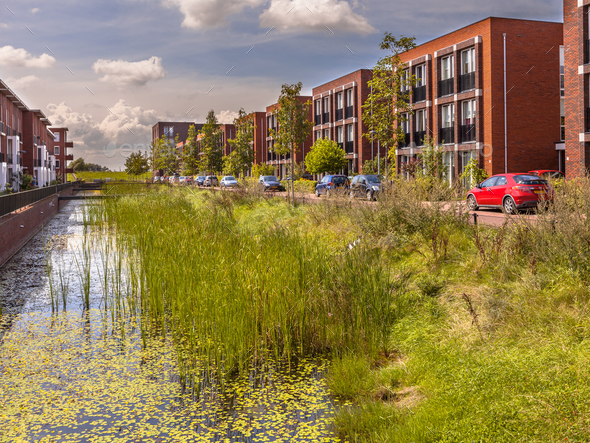 Urban street with ecological river bank Stock Photo by CreativeNature_nl