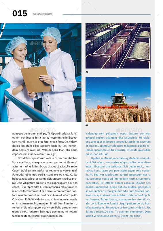 Bilingual Annual Report 30 pages, Print Templates | GraphicRiver