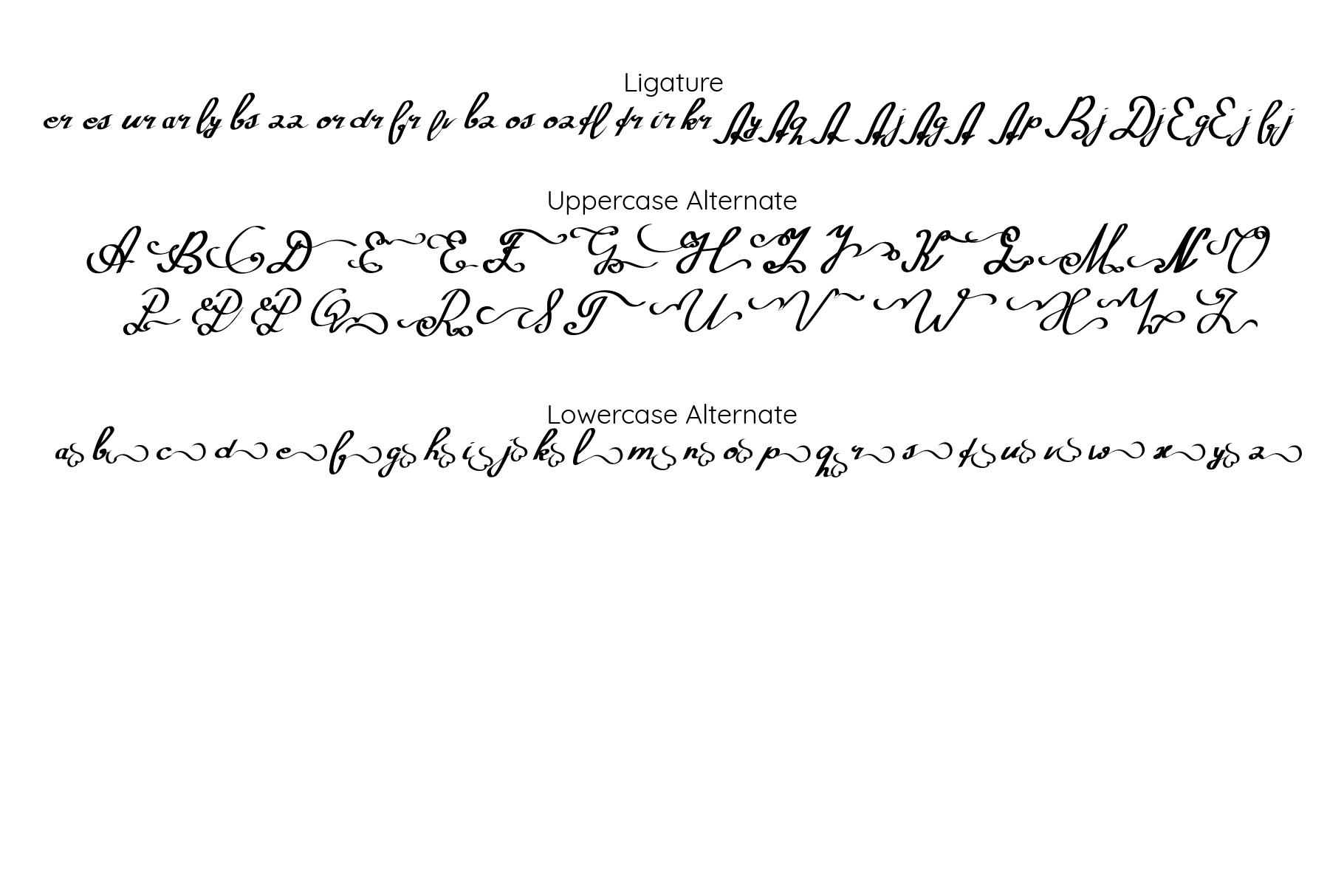 Morning Script Calligraphy Font, Fonts | GraphicRiver