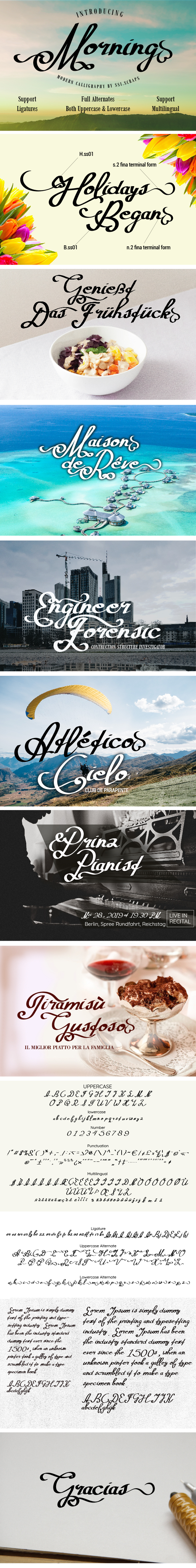 Morning Script Calligraphy Font, Fonts | GraphicRiver