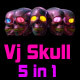 Vj Skull Loop v02, Motion Graphics | VideoHive
