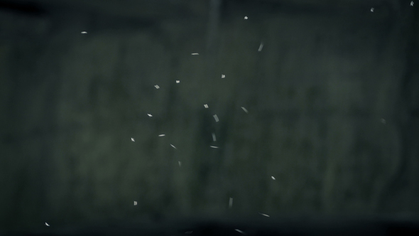 Flies Buzzing Around Generic Background, Stock Footage | VideoHive