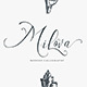 Milova | Modern Calligraphy, Fonts | GraphicRiver
