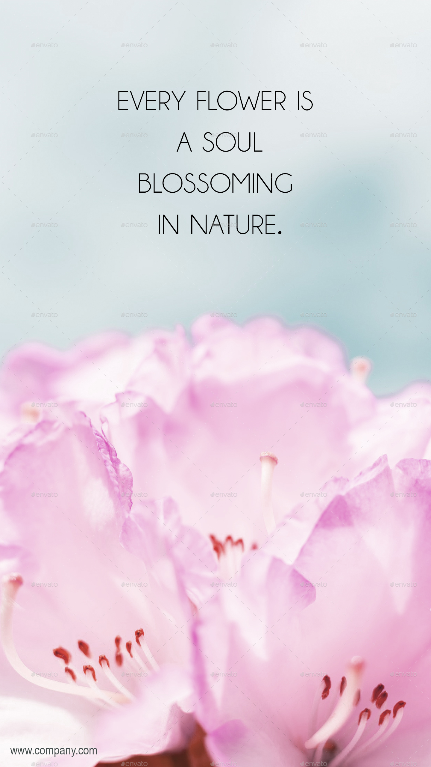 6 Springtime Insta-Story Templates PSD, Web Elements | GraphicRiver