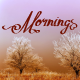 Morning Script Calligraphy Font, Fonts | GraphicRiver