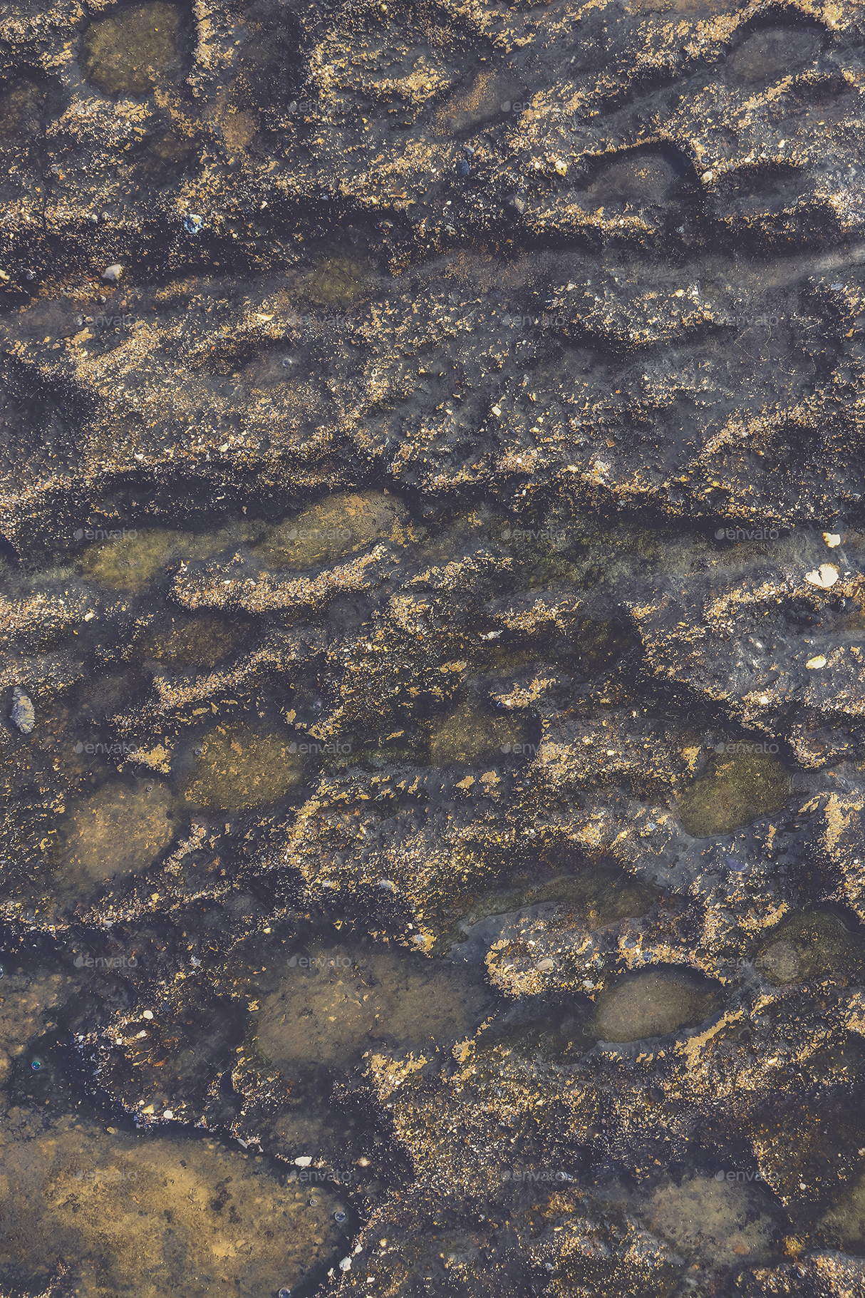 20 Weathered Sea Concrete Textures, Textures | GraphicRiver