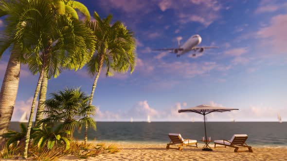 Tropical Sunset Scenery, Motion Graphics | VideoHive