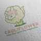 Cauliflower Logo Design, Logo Templates | GraphicRiver