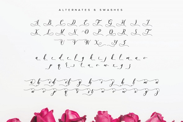 Mariana Oghawa Script, Fonts | GraphicRiver