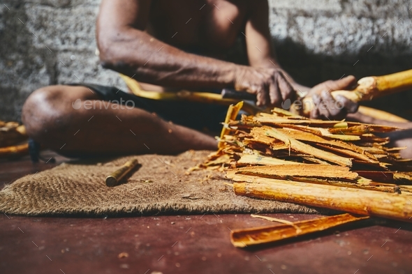 Production of the cinnamon sticks Stock Photo by Chalabala | PhotoDune