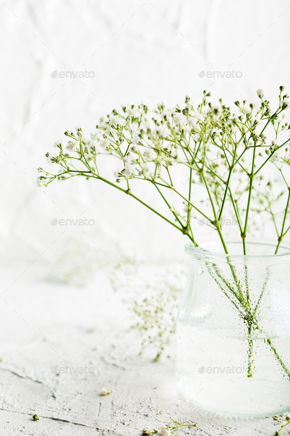 Bunch of Gypsophila Stock Photo by Merinka | PhotoDune