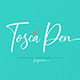 Tosca Pen Signature, Fonts | GraphicRiver